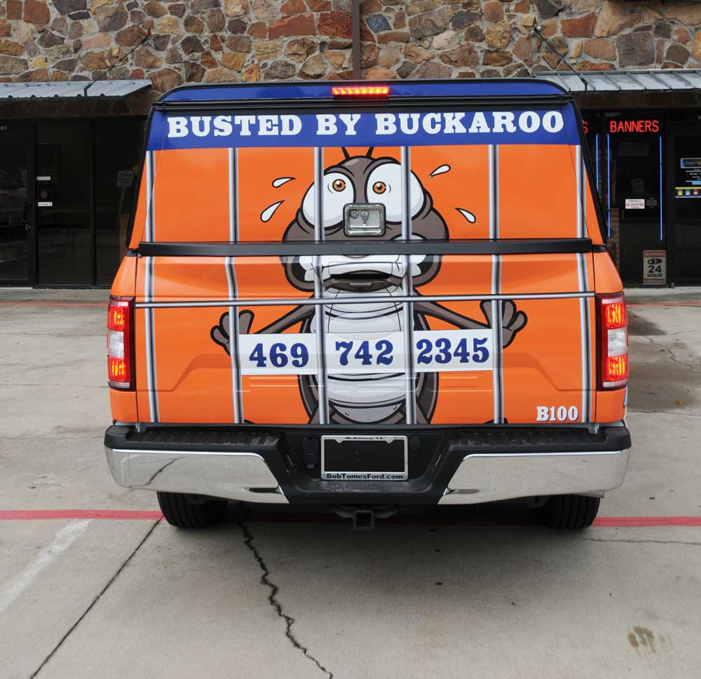 Pest Control Plano, TX | Buckaroo Pest Protection Plano TX