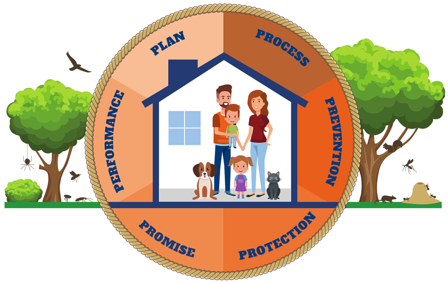 Pest Control Plano, TX | Residential pest control